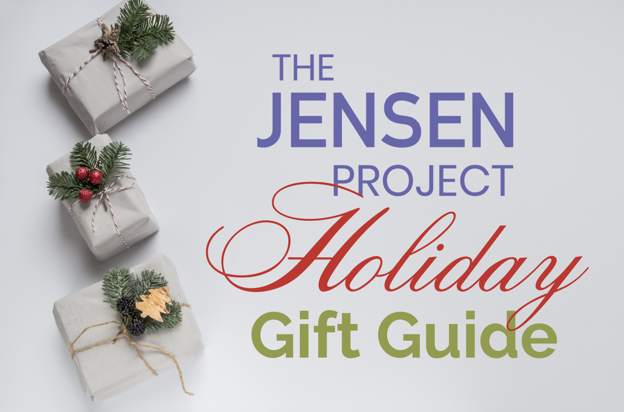 Blog - The Jensen Project